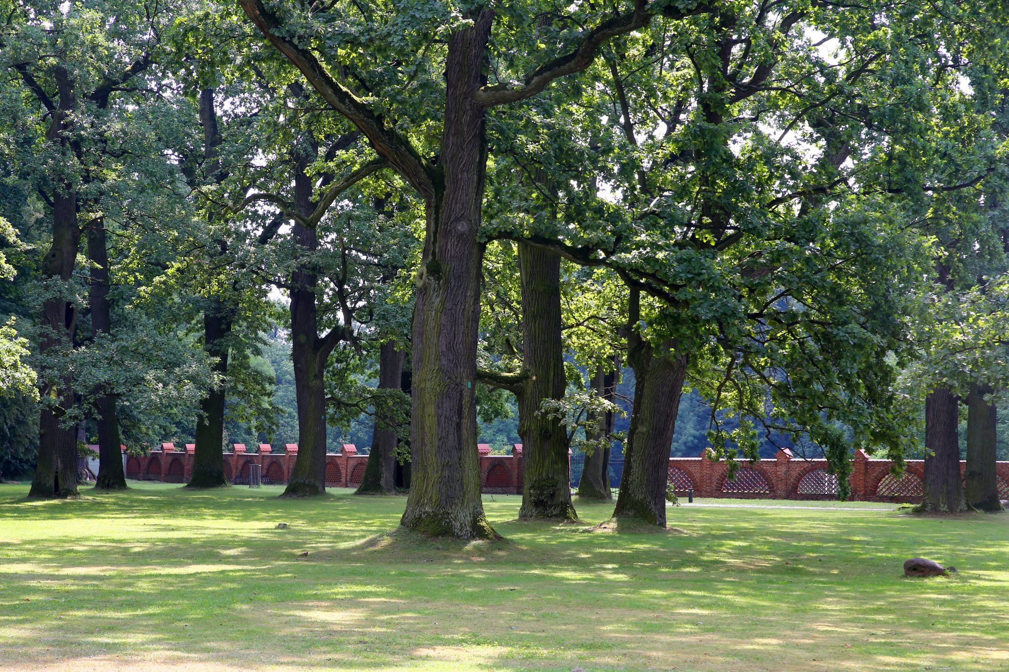 Park natoliński i przyroda - Centrum Europejskie Natolin