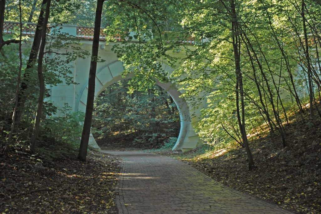 Park natoliński i przyroda - Centrum Europejskie Natolin