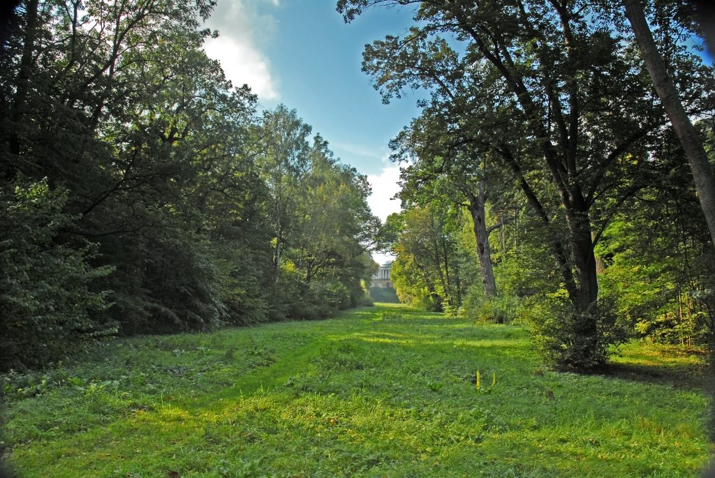 Park natoliński i przyroda - Centrum Europejskie Natolin